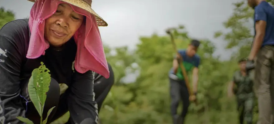 Organizations | Restor